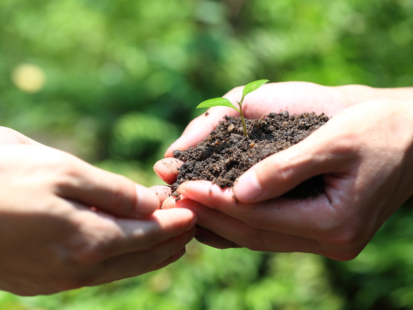 Devenez acteur de la protection de l'environnement avec Sentinelles de ...