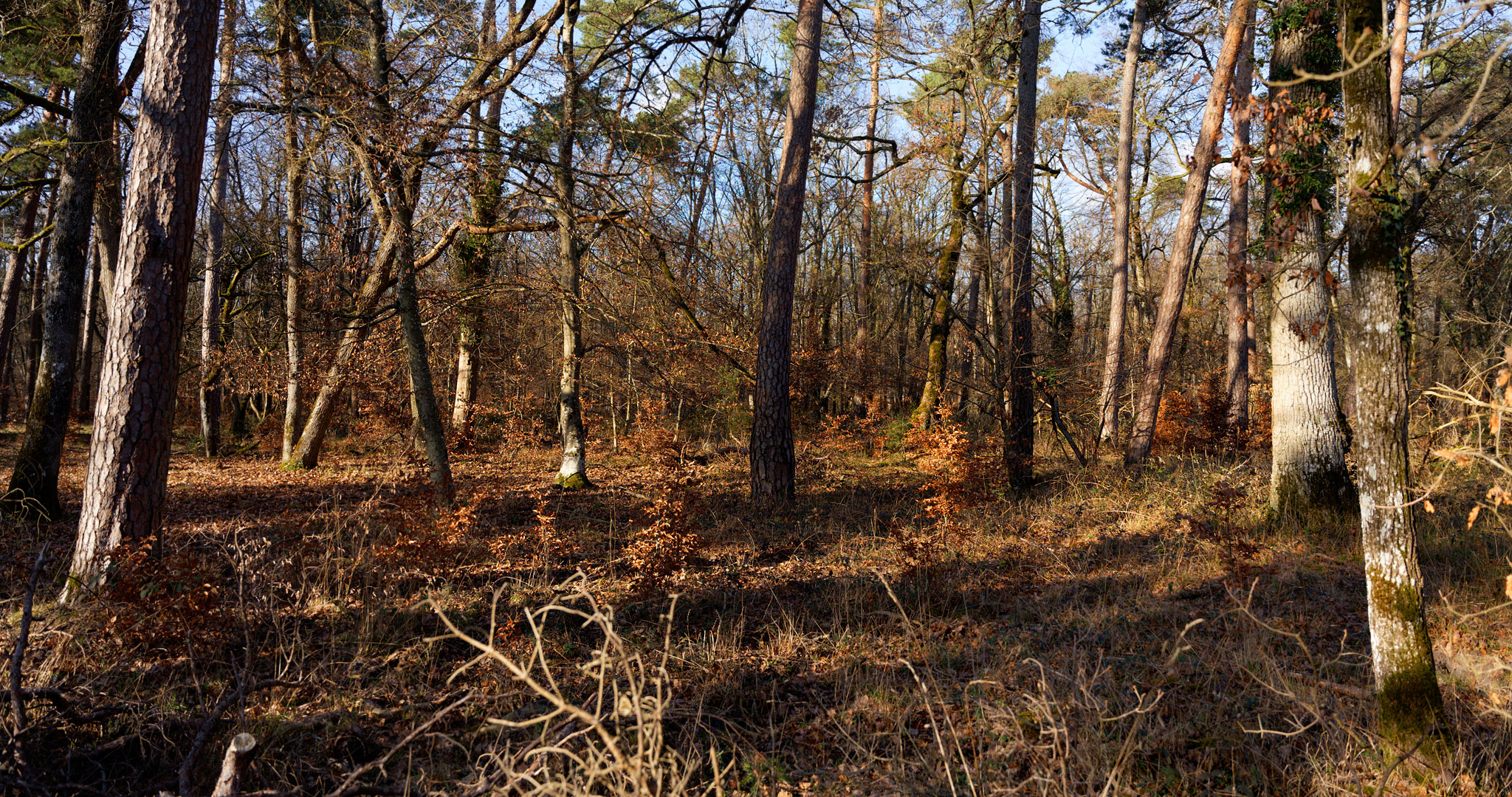 Actualités | FNE Île-de-France
